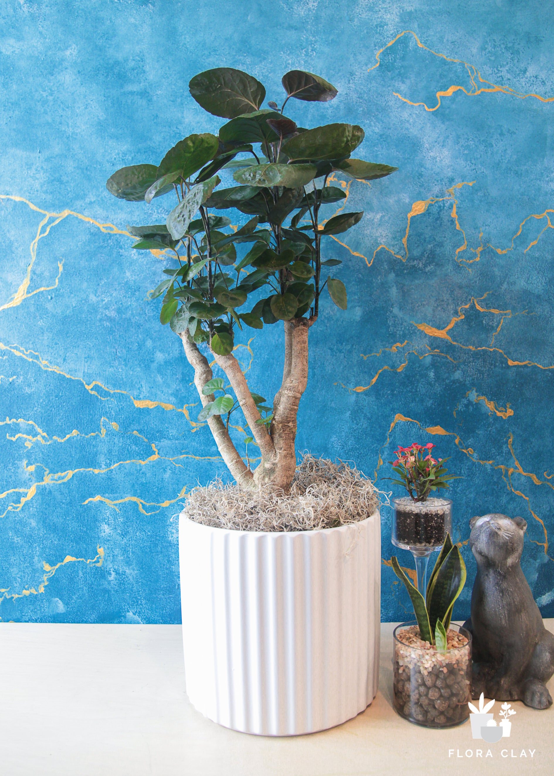 Fabian | Plant Arrangements – FLORA CLAY