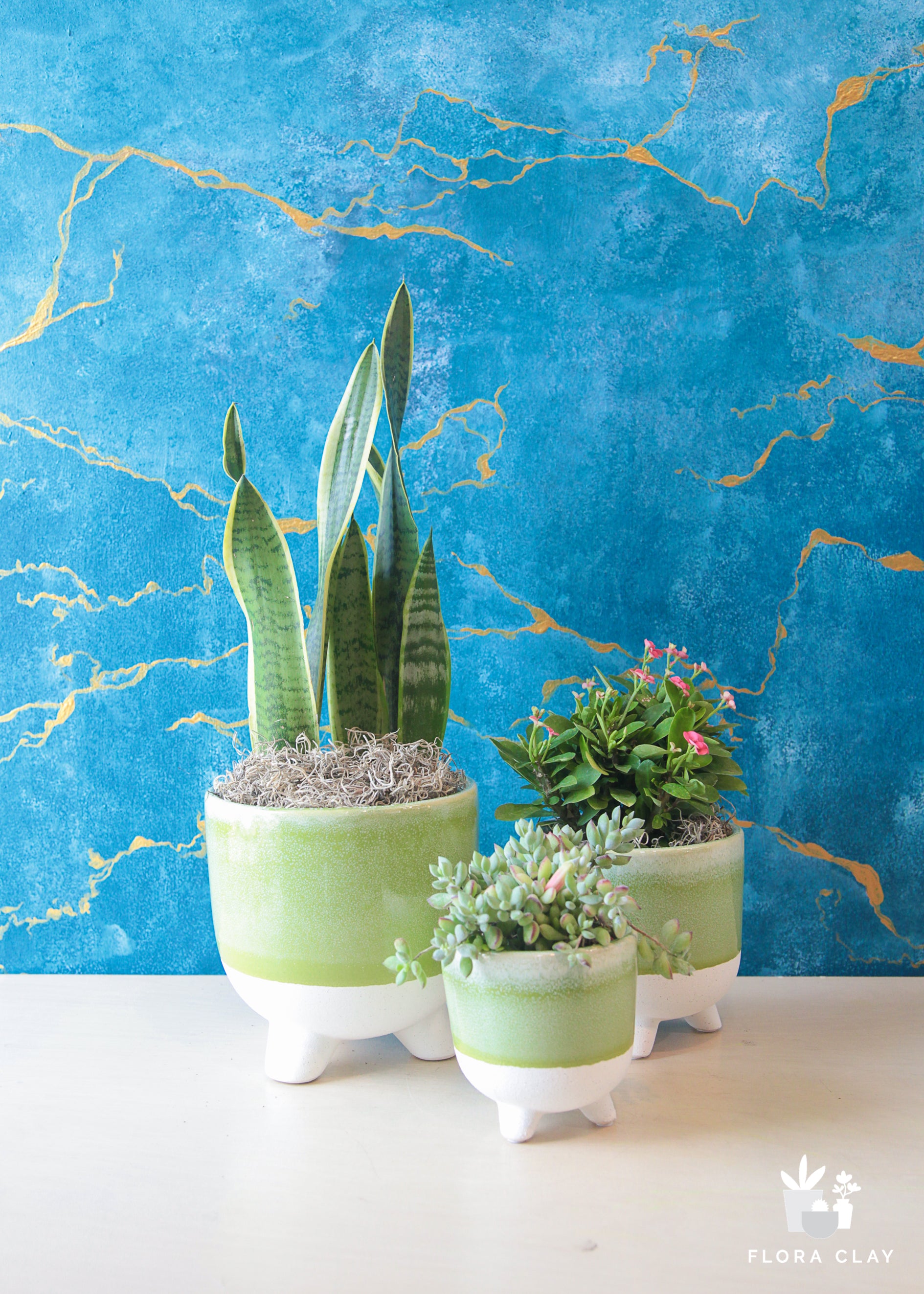 Three Musketeers | Plant Arrangements – FLORA CLAY