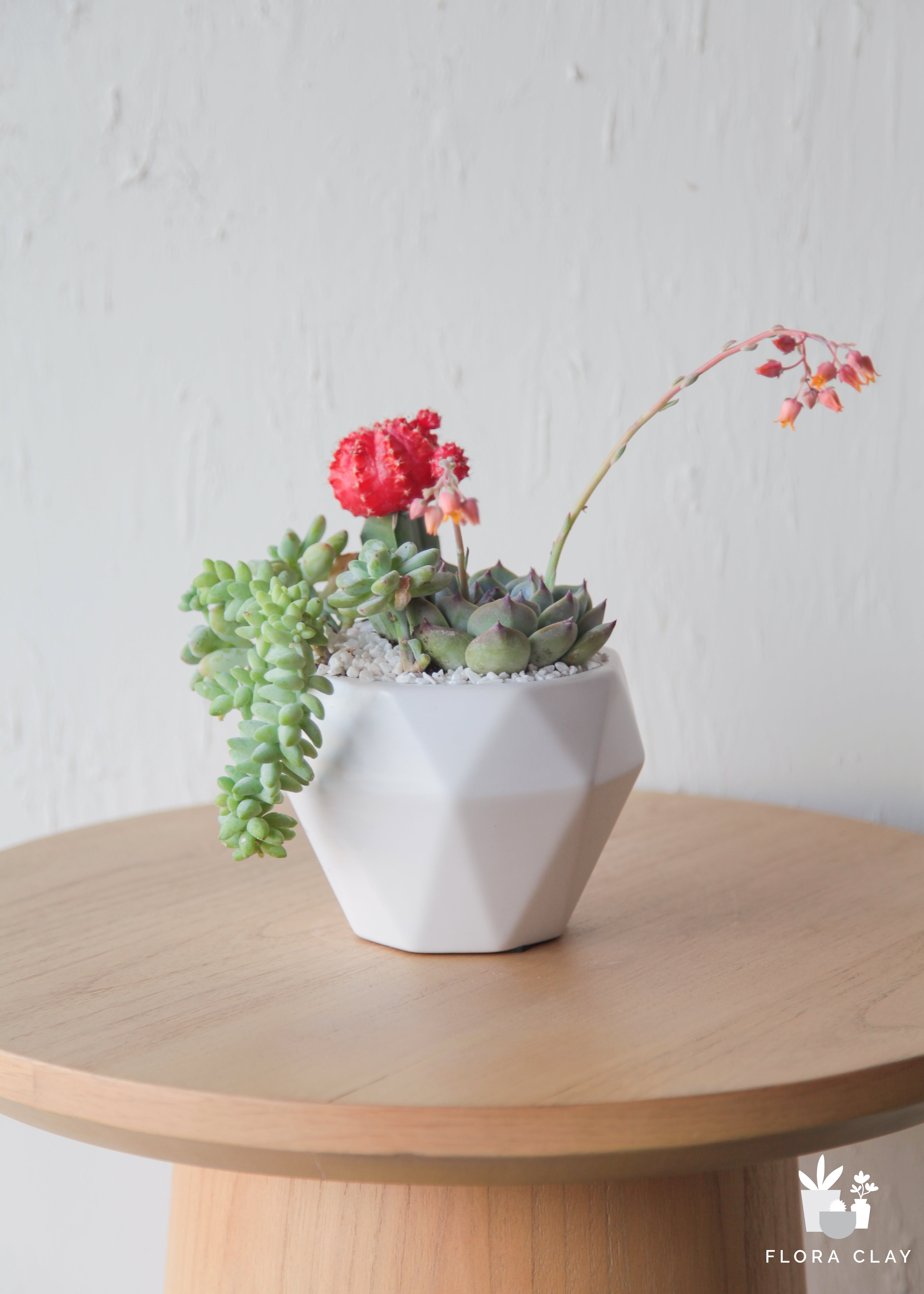 Diamond | Cactus Arrangements – FLORA CLAY