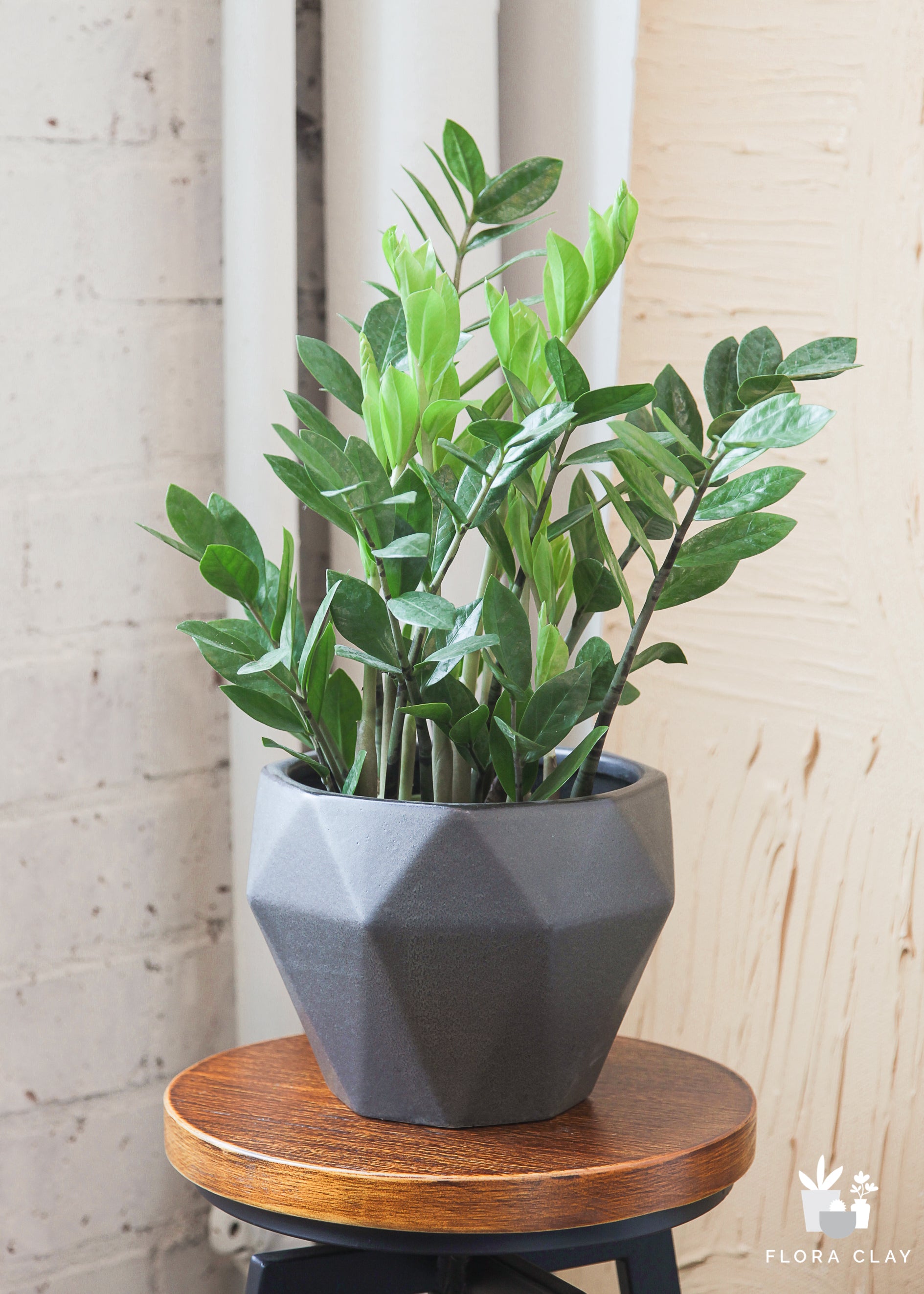 Natural Glow | Plant Arrangements – FLORA CLAY