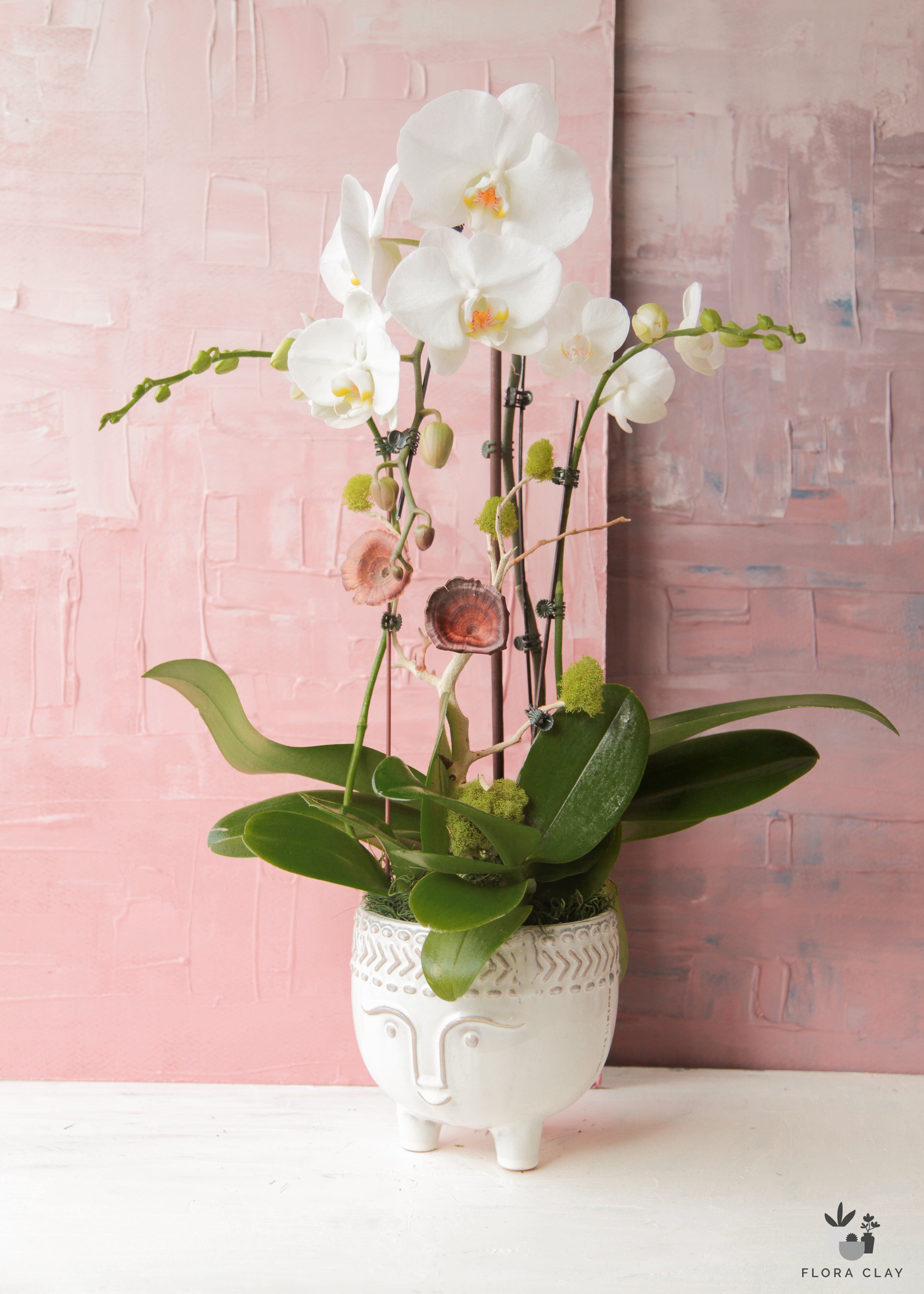 Smiley | Orchid Arrangements – FLORA CLAY